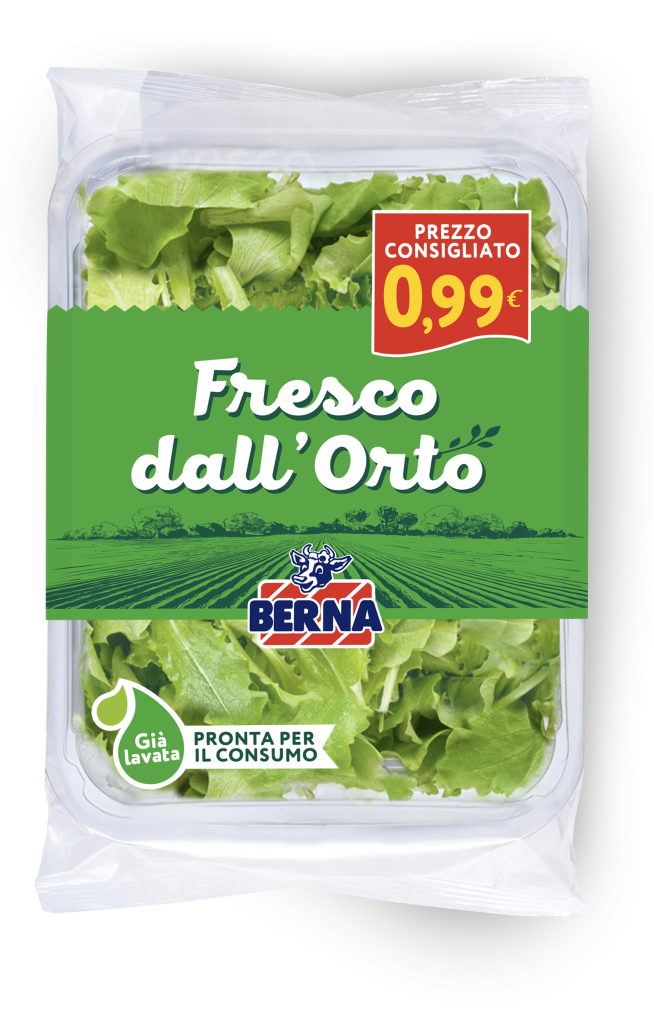 Insalate - Lattughino - Latte Berna