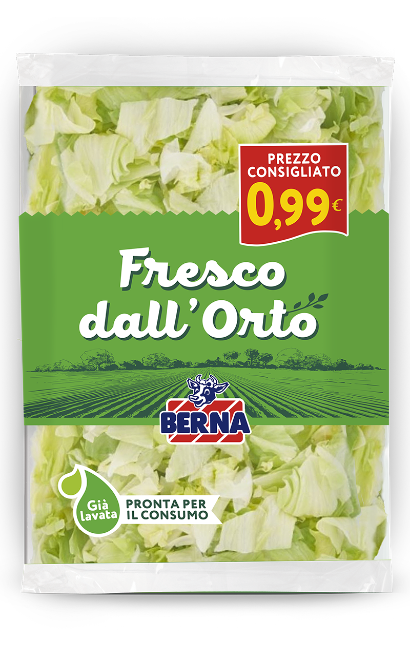 Insalate - Icerberg - Latte Berna