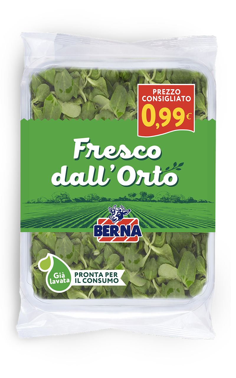 Insalate - Songino - Latte Berna